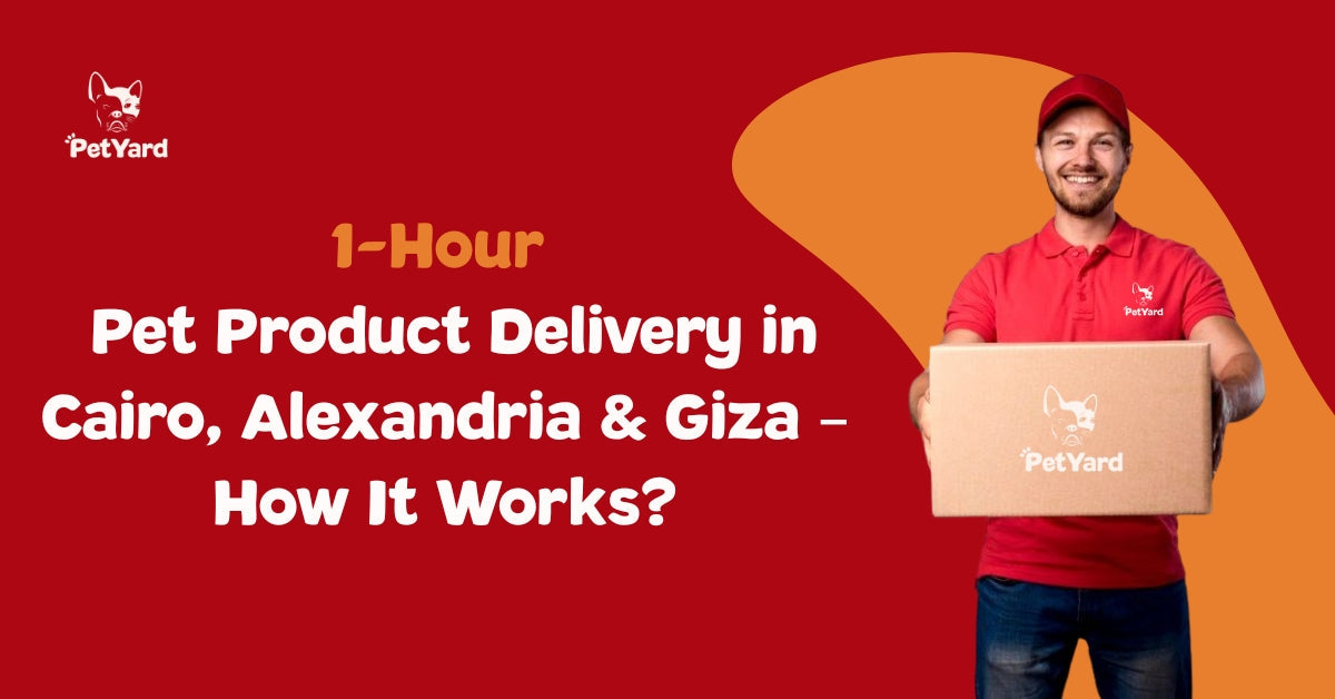 🚚 1-Hour Pet Product Delivery in Cairo & Giza – How It Works?