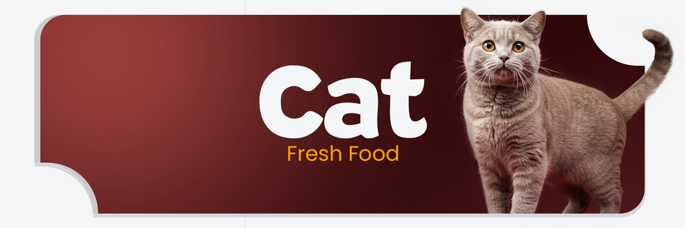 Cat Fresh Food