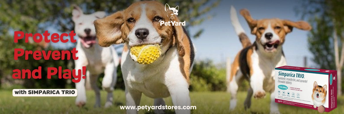 Pet Yard Stores